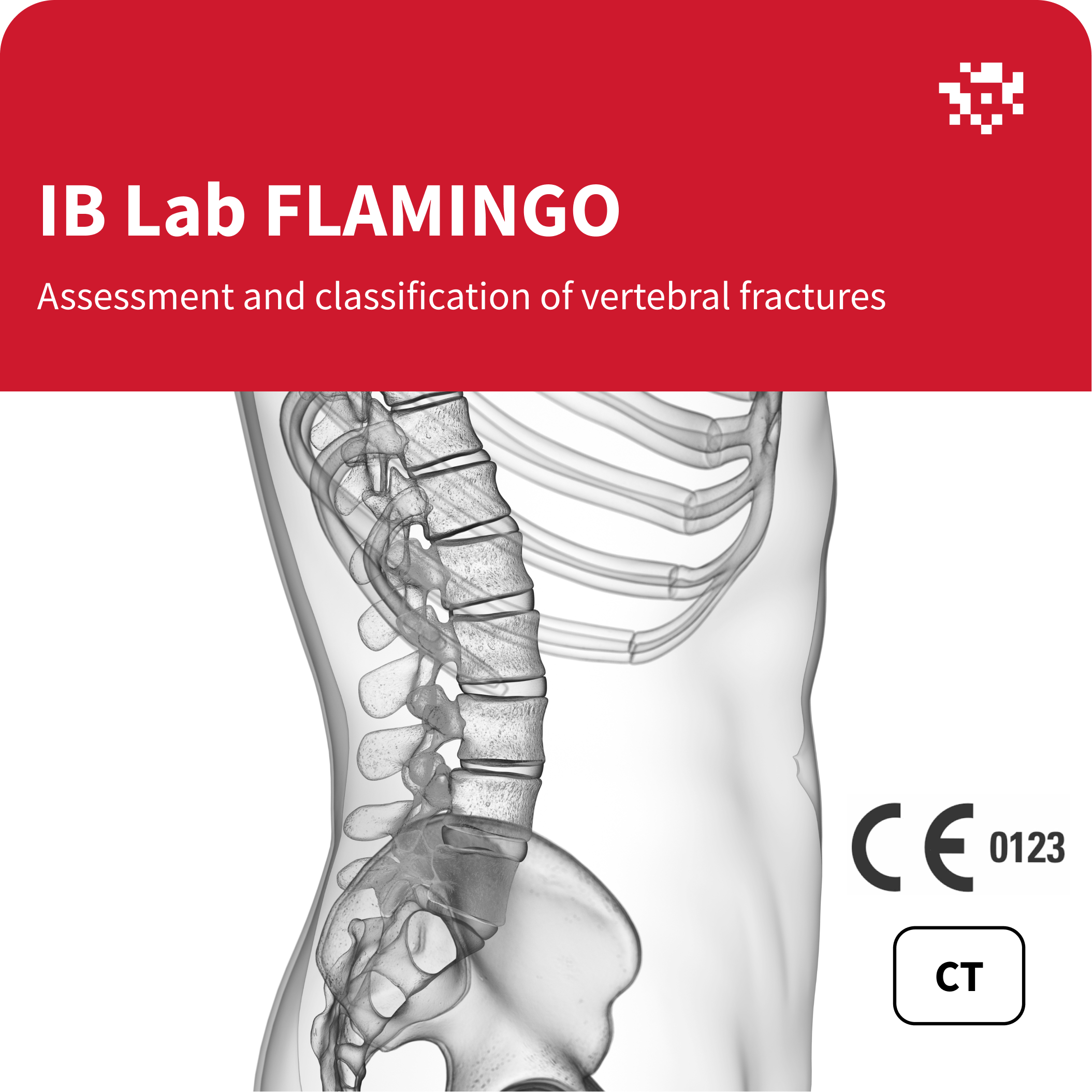 IB Lab FLAMINGO - Sectra Amplifier Marketplace